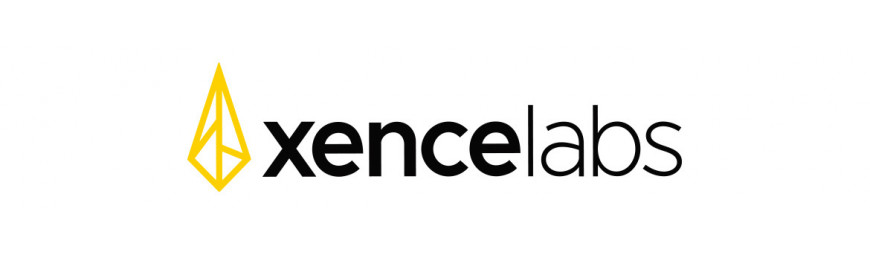 Tavoletta Grafica e Display con Penna con Quick Keys | Xencelabs