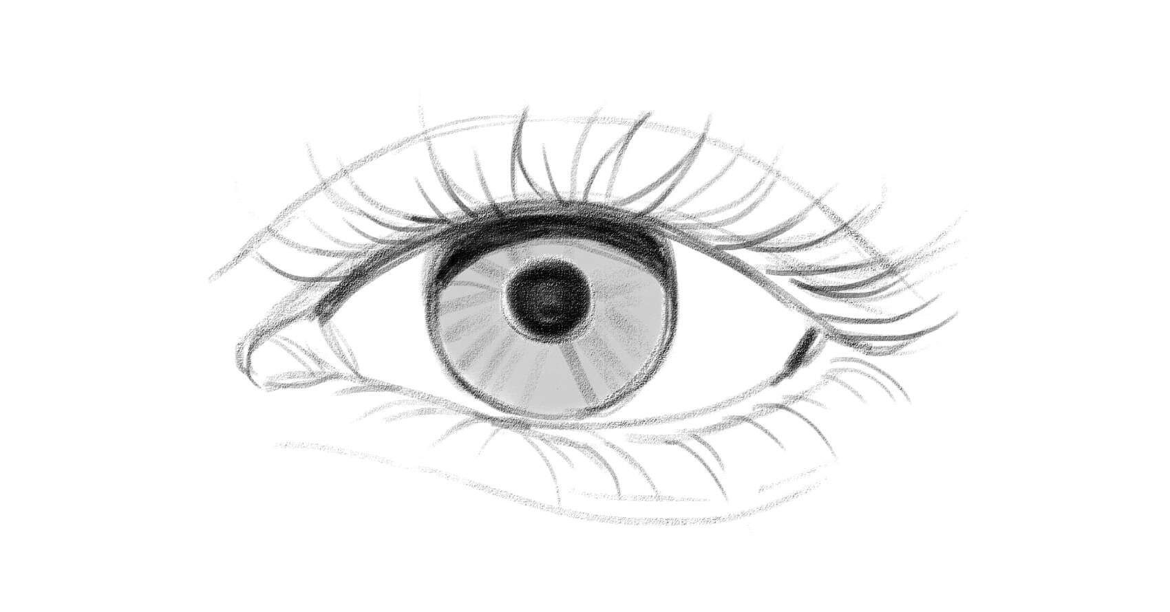 How to Draw a Realistic Eye Step by Step 2024 | Xencelabs